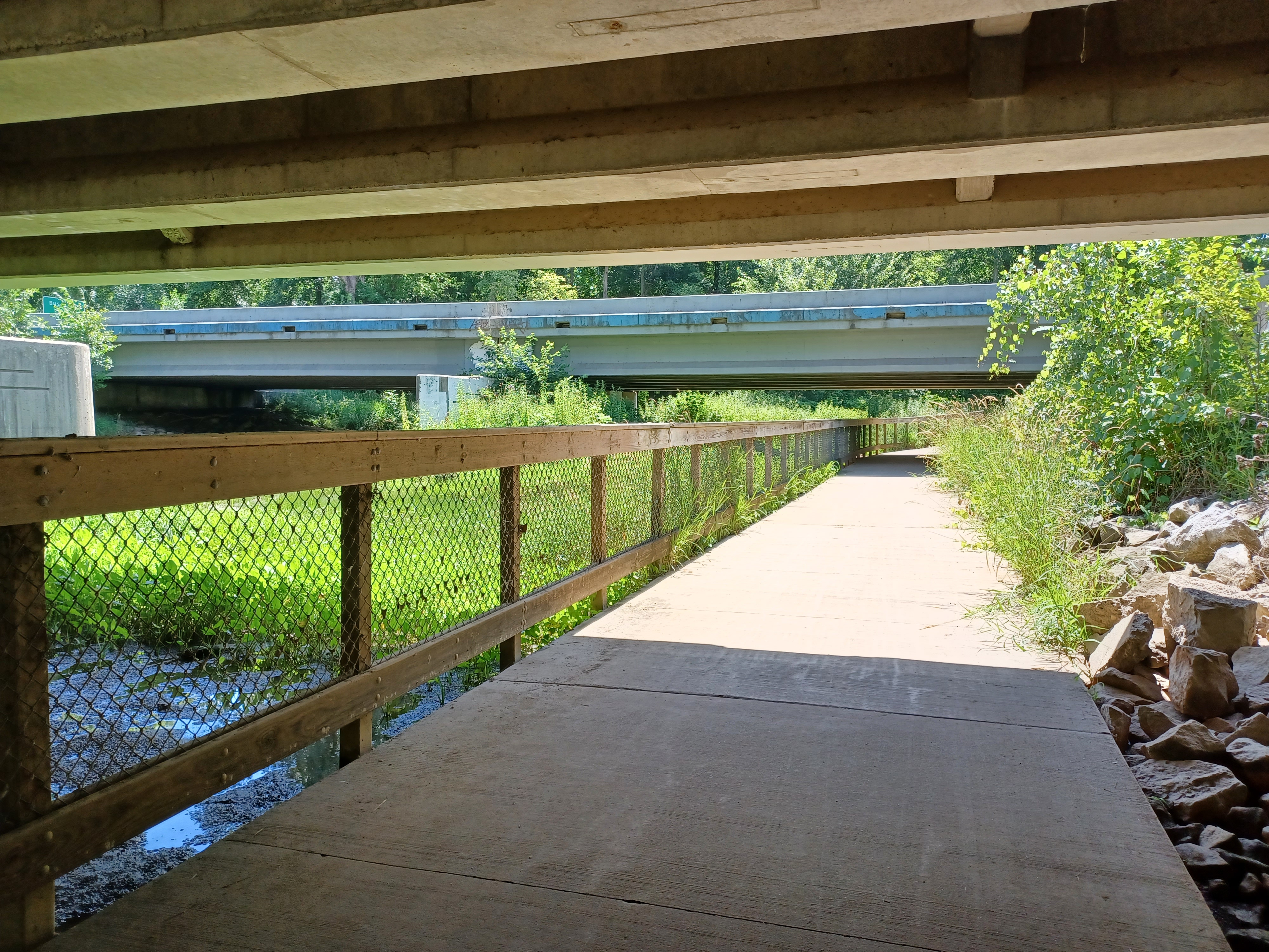 Week #8 Marathon training 2.0 | Little M.S. Runner