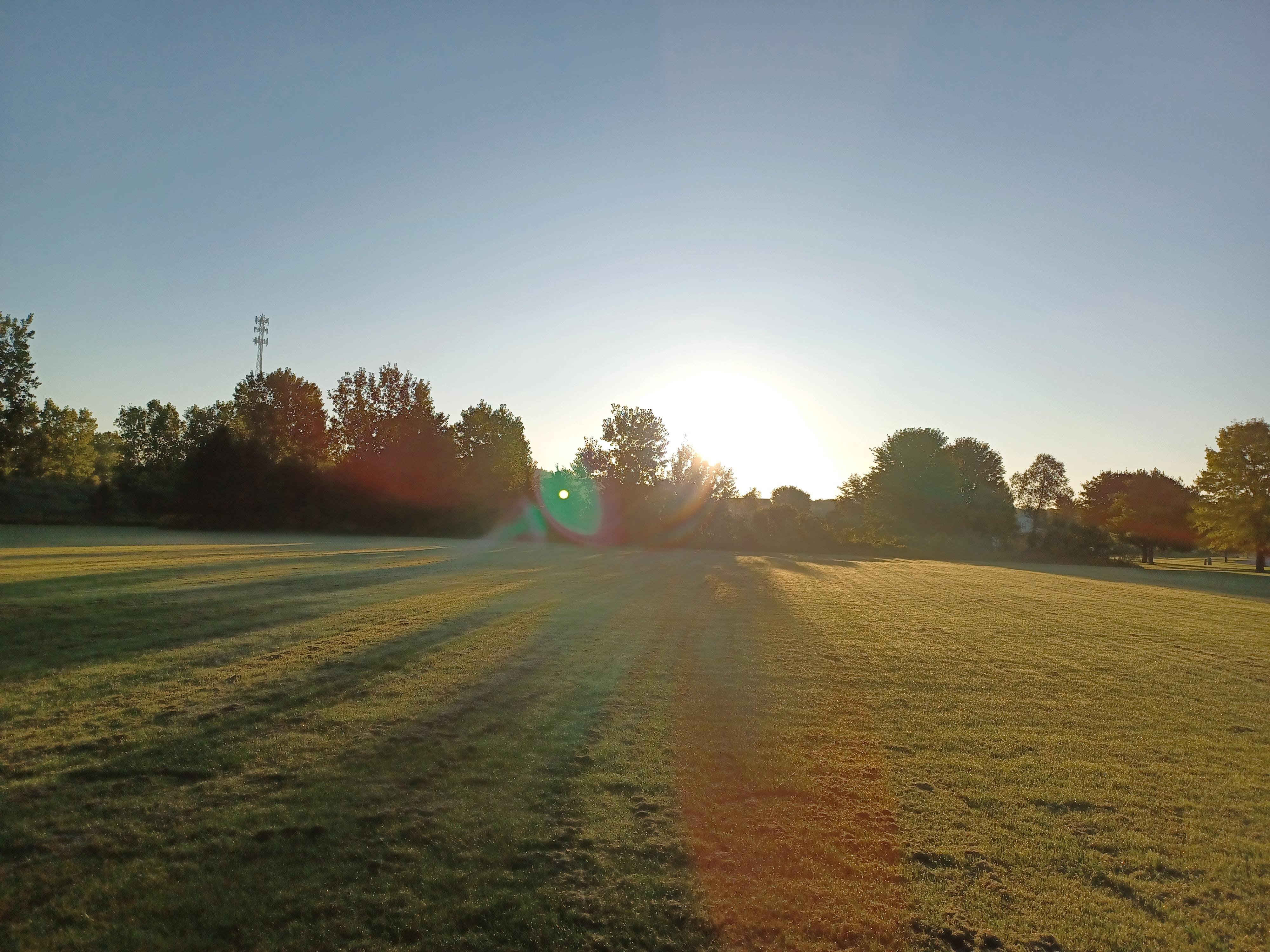 Week 15 marathon training | Little M.S. Runner